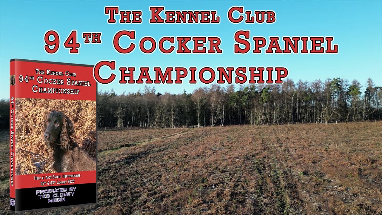 The Kennel Club 94th Cocker Spaniel Championship - DVD Preview - YouTube