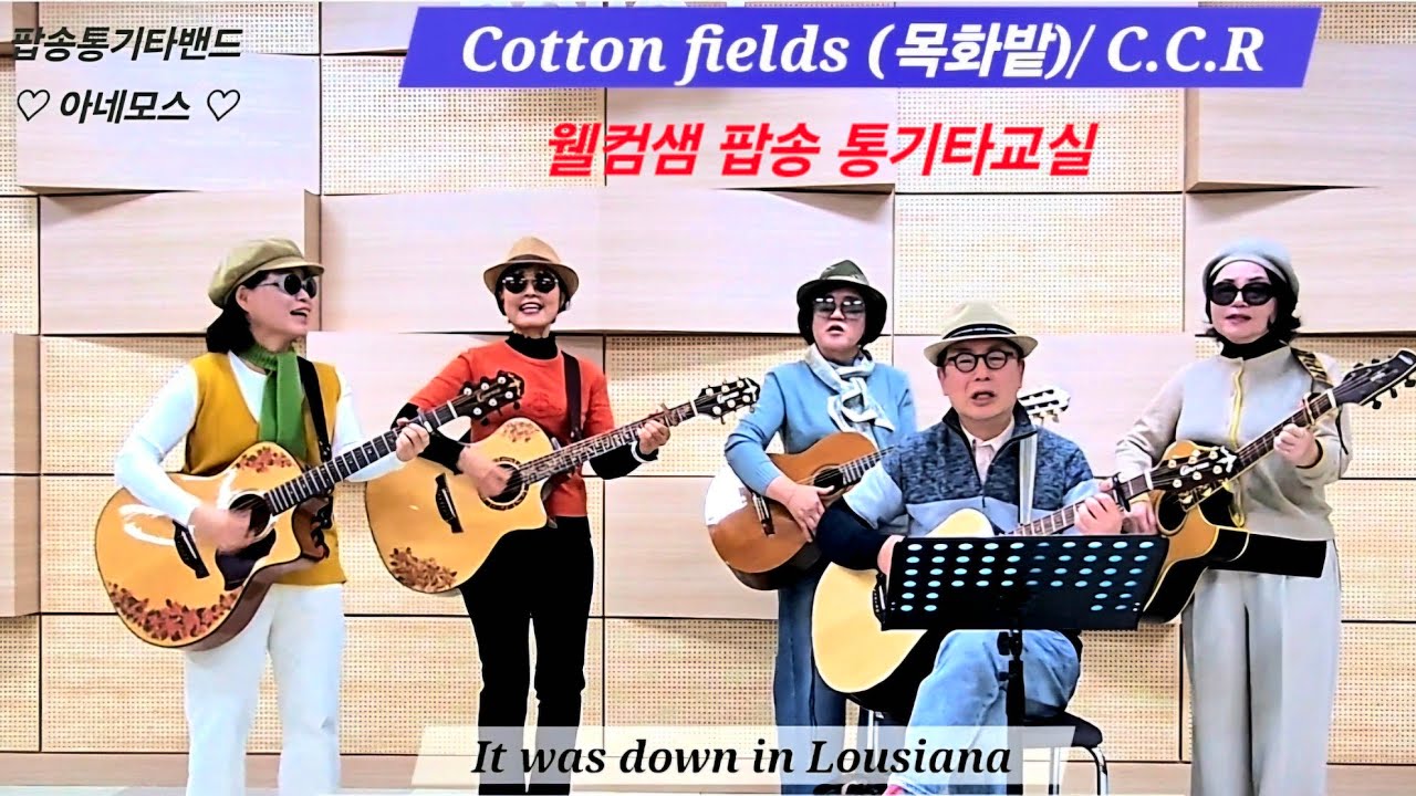 C.C.R/Cotton fields (목화밭) guitar cover, 웰컴샘 팝송통기타밴드 버스킹 [아네모스] 기타공연 ...
