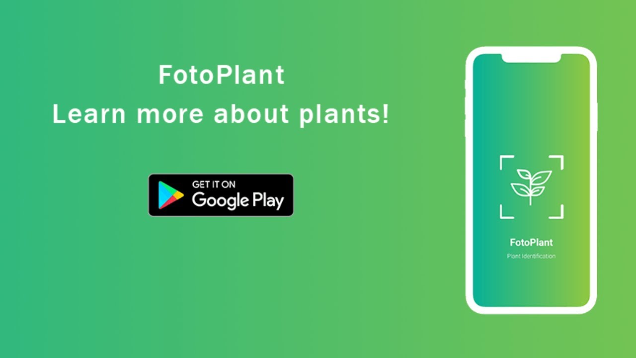 FotoPlant Plant Identification Official Google Play Launch Trailer ...