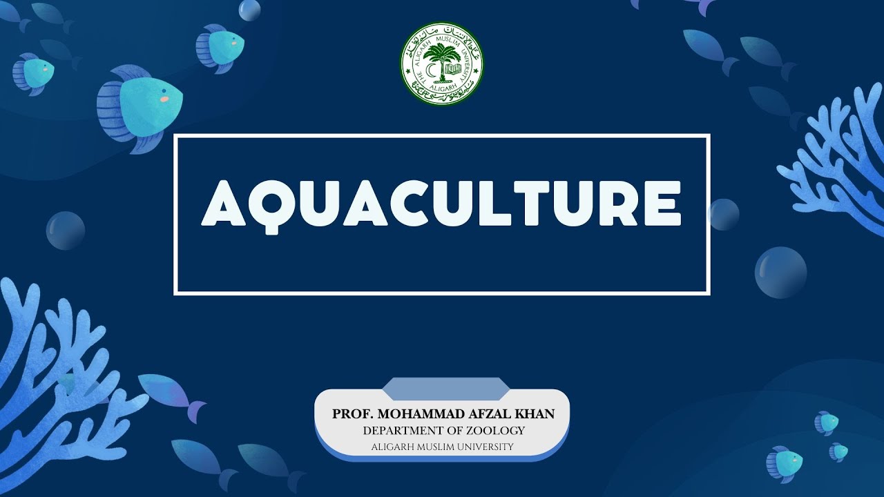 Collections of hard anatomical structures for fish age estimation - YouTube