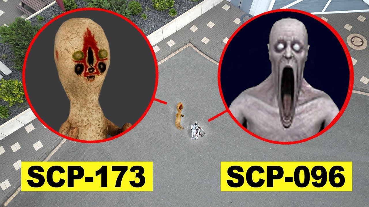 DROHNE überwacht SCP-173 und SCP-096 in REAL LIFE um 3 UHR mittags ...