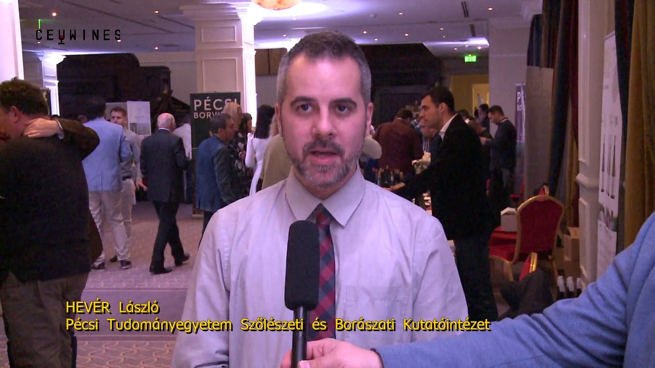 Winelovers2020 Hevér L 2 - YouTube