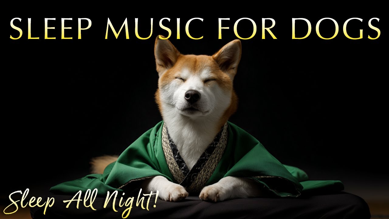 All-Night Dog Sleep Music (12 Hours) – Reduce Anxiety & Promote Rest ...