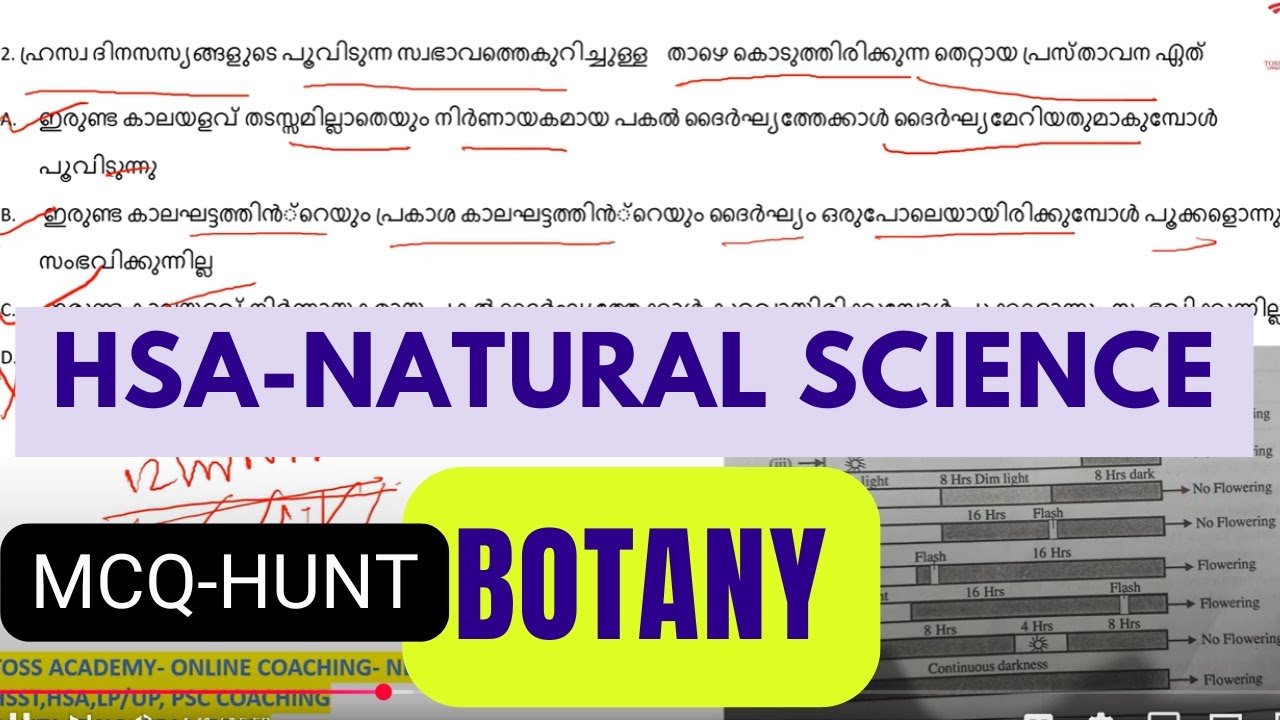 hsa natural science Difficult question discussion Botany part 2 - YouTube