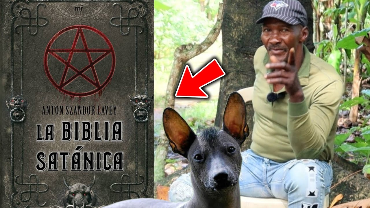 Oraciones Para Convertirte En Animal Libro De Magia Negra & Magia ...