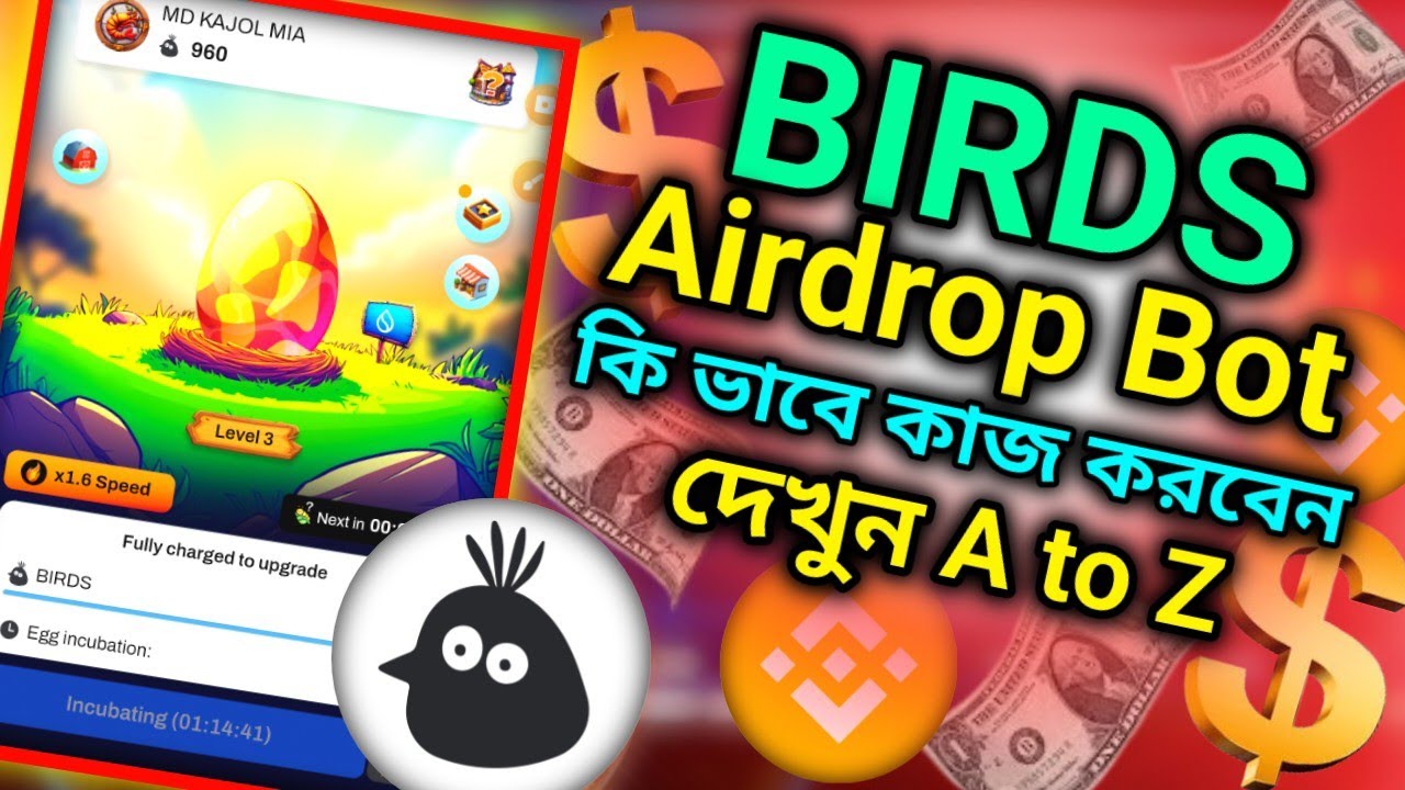 birds airdrop। birds airdrop lisitng। birds airdrop level up। birds ...