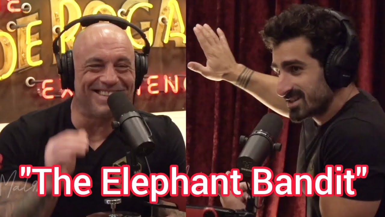 "The Elephant Bandit" Story | The Joe Rogan Experience Podcast | Paul ...