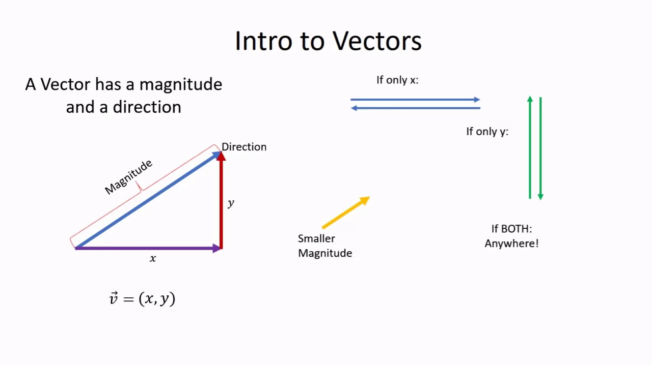 Introduction to Vectors - YouTube