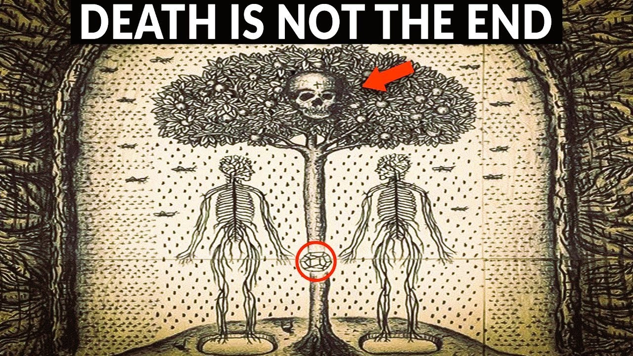 The Mysterious Book that Explains What Happens When We Die - YouTube