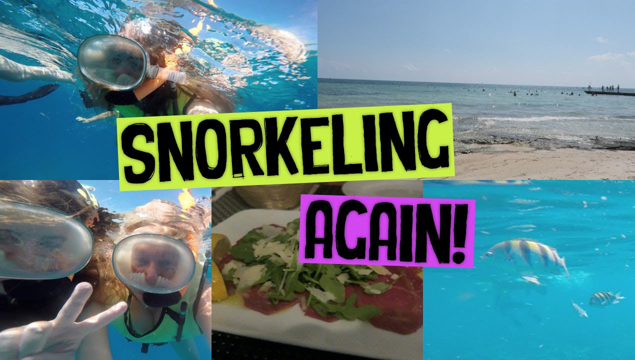 Snorkeling Again! Last Beach Day, Goodbye Key West!! - YouTube