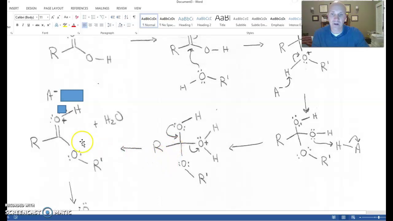Fischer Esterification and Saponification - YouTube