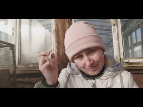 понос у крольчат. не начала во время лечить, результат все погибли от оббезвоживания.