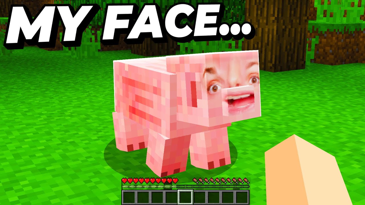 Putting my Face on EVERY Minecraft Mob... - YouTube