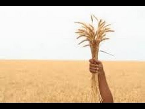 Bikkurim - the First Fruits - YouTube