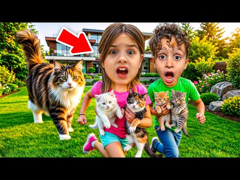 YAVRU KEDİLERİ ALDI KAÇTI ‼️ ANNESİ GELİYOR KUZEY ELİF KAÇ !!
