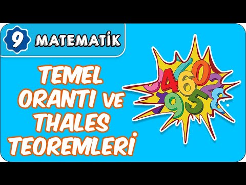 Temel orantı ve Thales Teoremleri  | 9.Sınıf Matematik