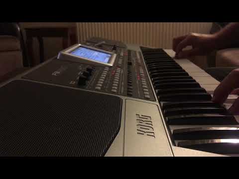 KORG PA 900 elektro Segah