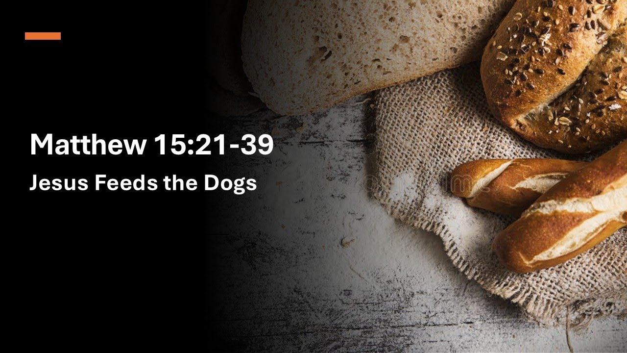 Jesus Feeds the "Dogs" - YouTube