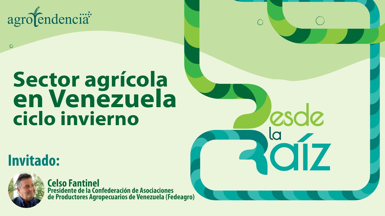Sector agrícola en Venezuela, ciclo invierno - Desde la Raíz - YouTube
