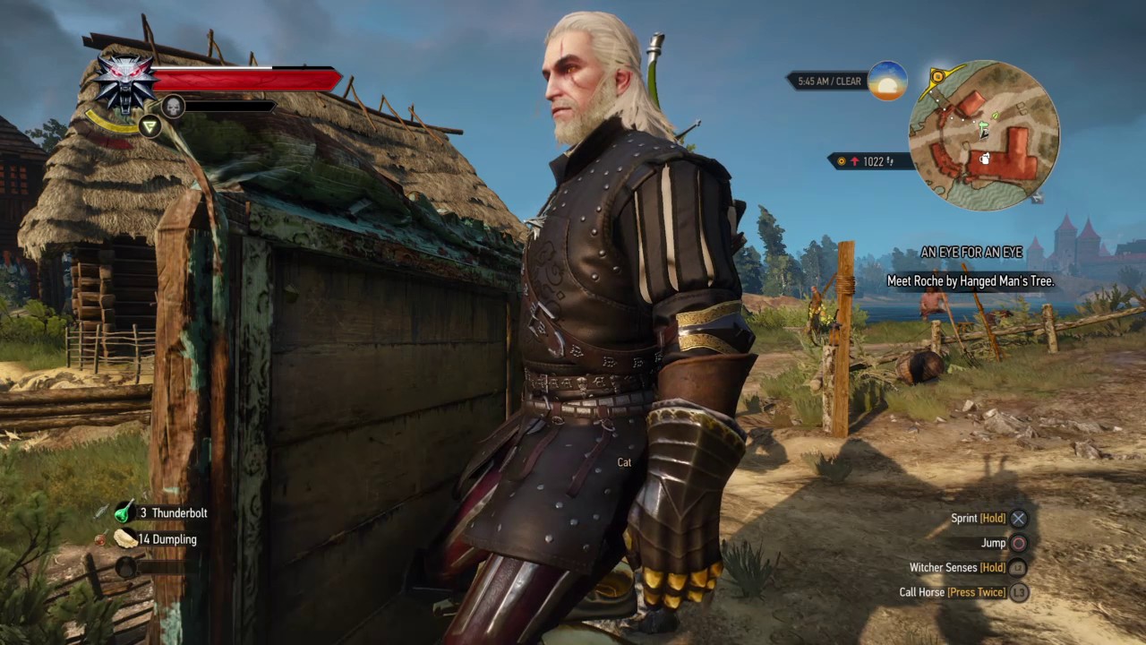 The Witcher 3 I am a wizard - YouTube