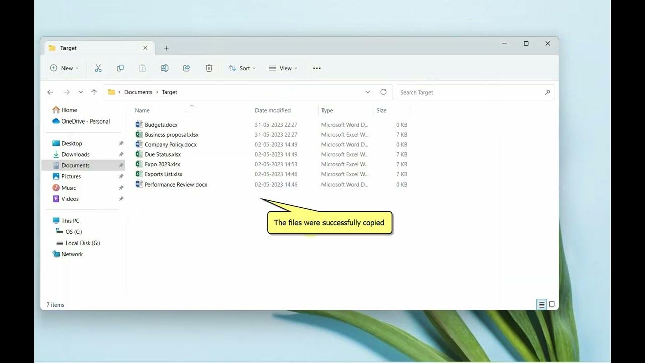 Windows: Save files list to a project file in Copywhiz for future file copy/backup operations ...