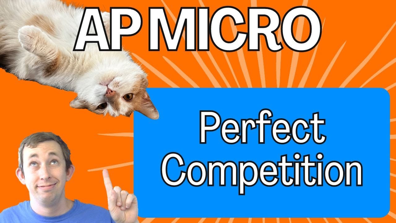8 Minutes for a 5 on AP Micro Perfect Competition - YouTube