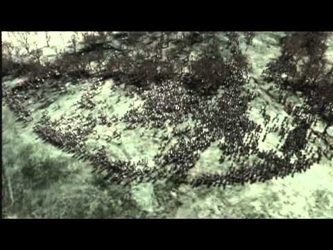 Battlefield Britain 02 The Battle Of Hastings Pdtv Xvid Wlw - YouTube