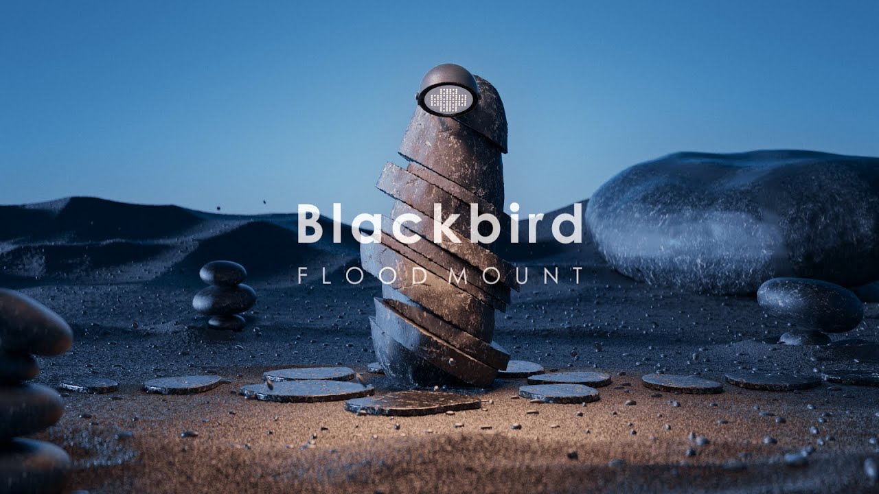 VIZULO || Blackbird || Flood Mount - YouTube