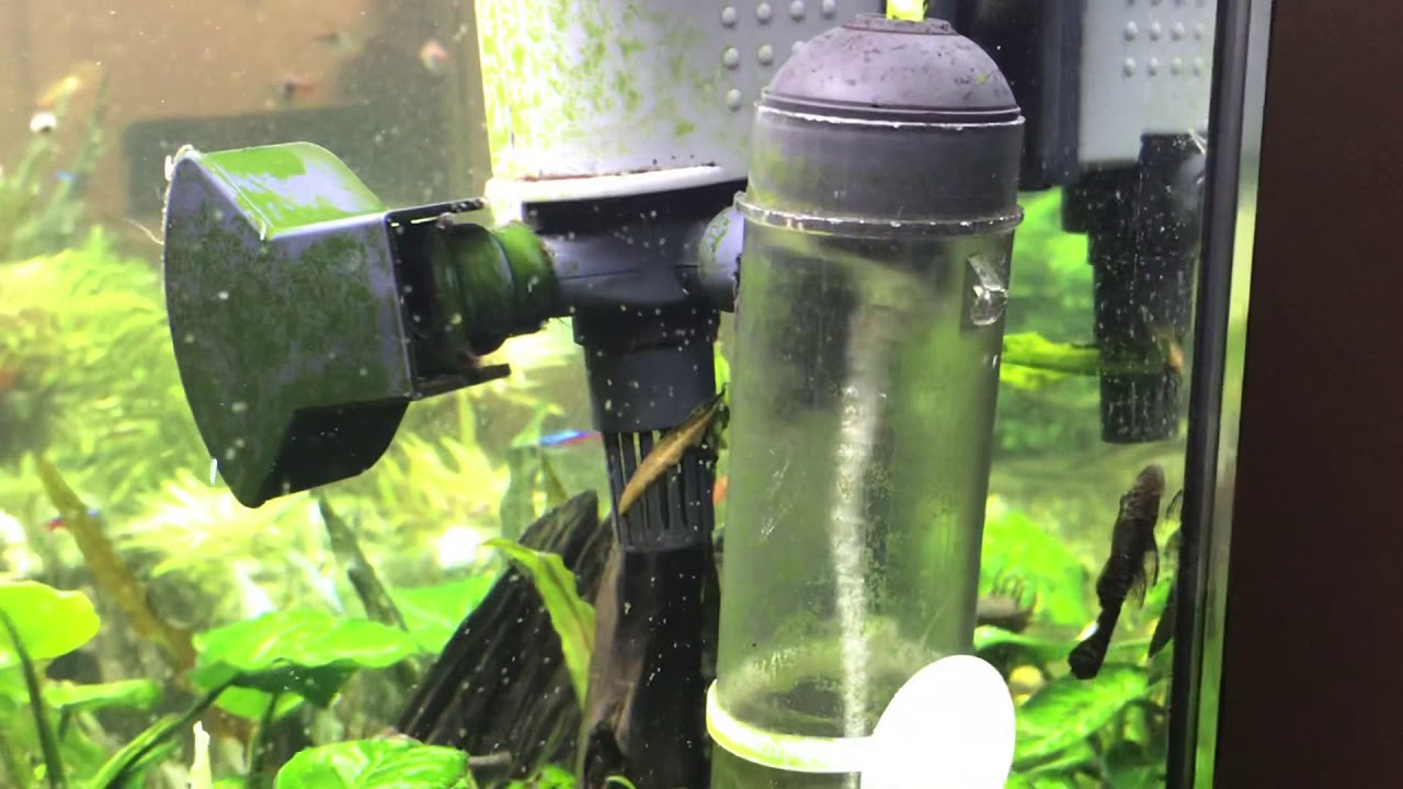 Vortex Co2 Reaktor - YouTube