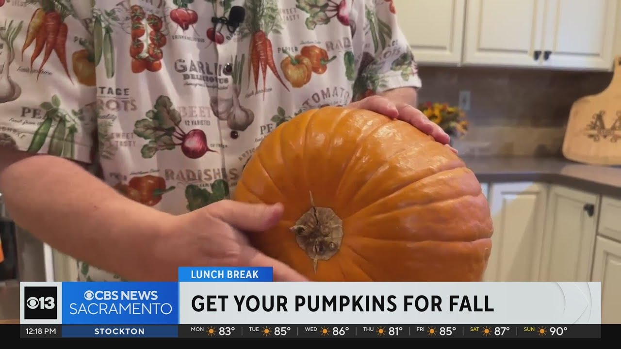Lunch Break: Autumn pumpkins - YouTube