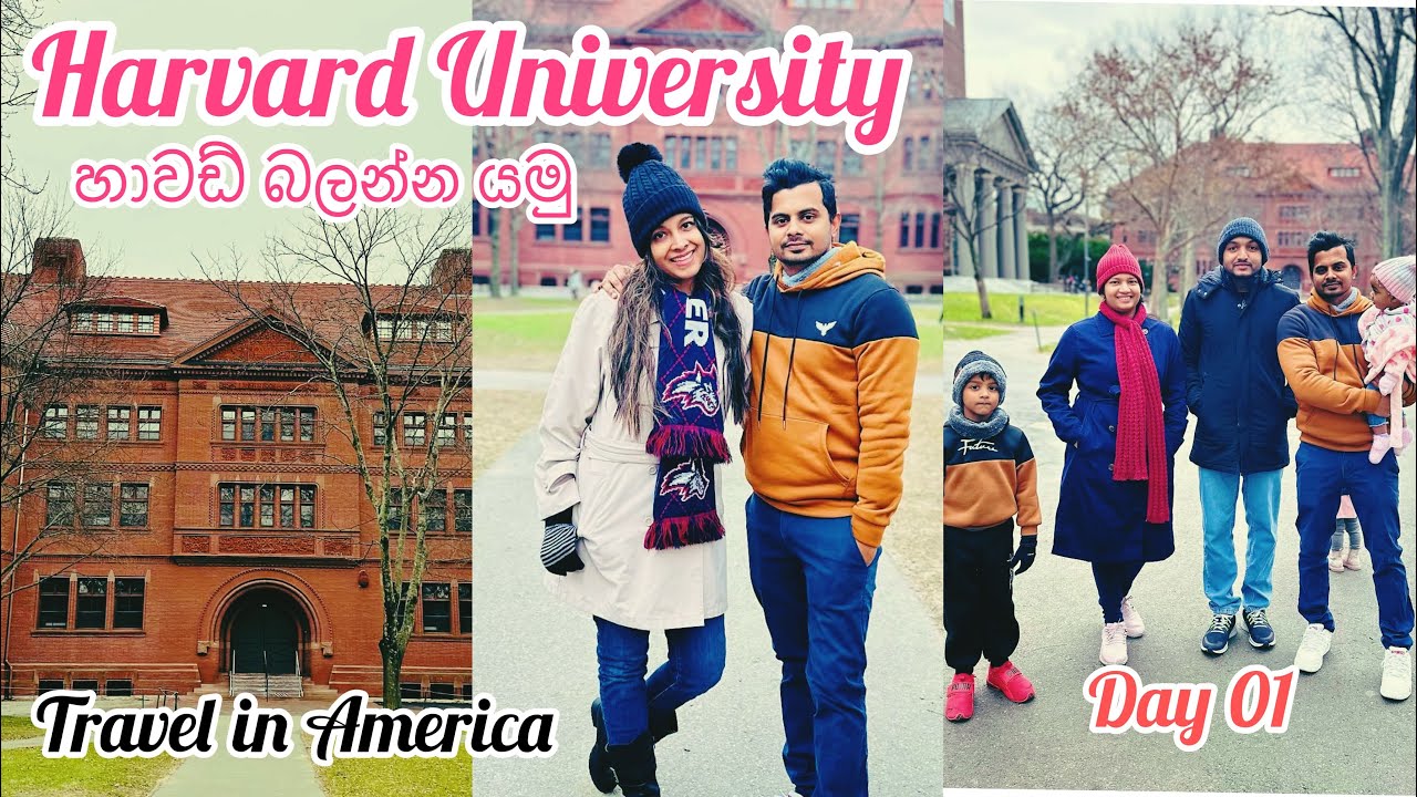 Harvard University බලන්න ගිය දවස | Travel in America 🇺🇸|memories ...