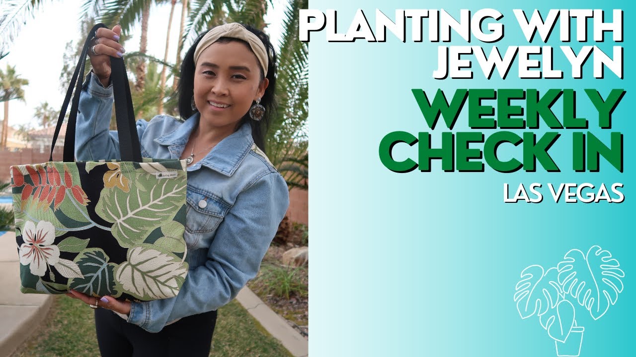 Planting with Jewelyn: New Merch, Plant talk + Vending dates | week 156 ...