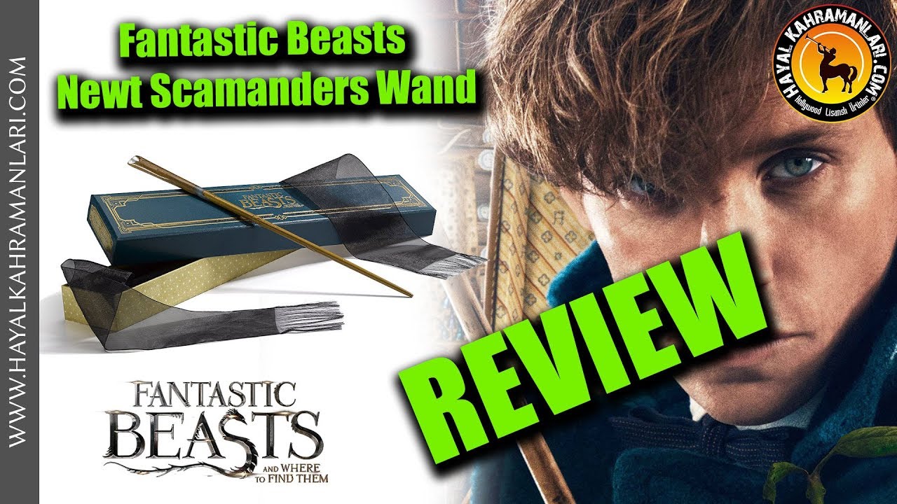 Wand of Newt Scamander in Collector's Box - Fantastic Beasts - Noble ...