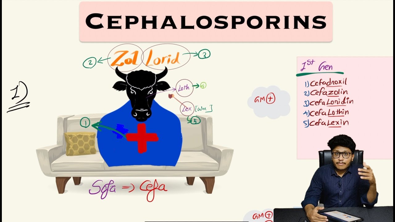 Memorise Cephalosporins Effortlessly: With Ace Mnemonics !" - YouTube
