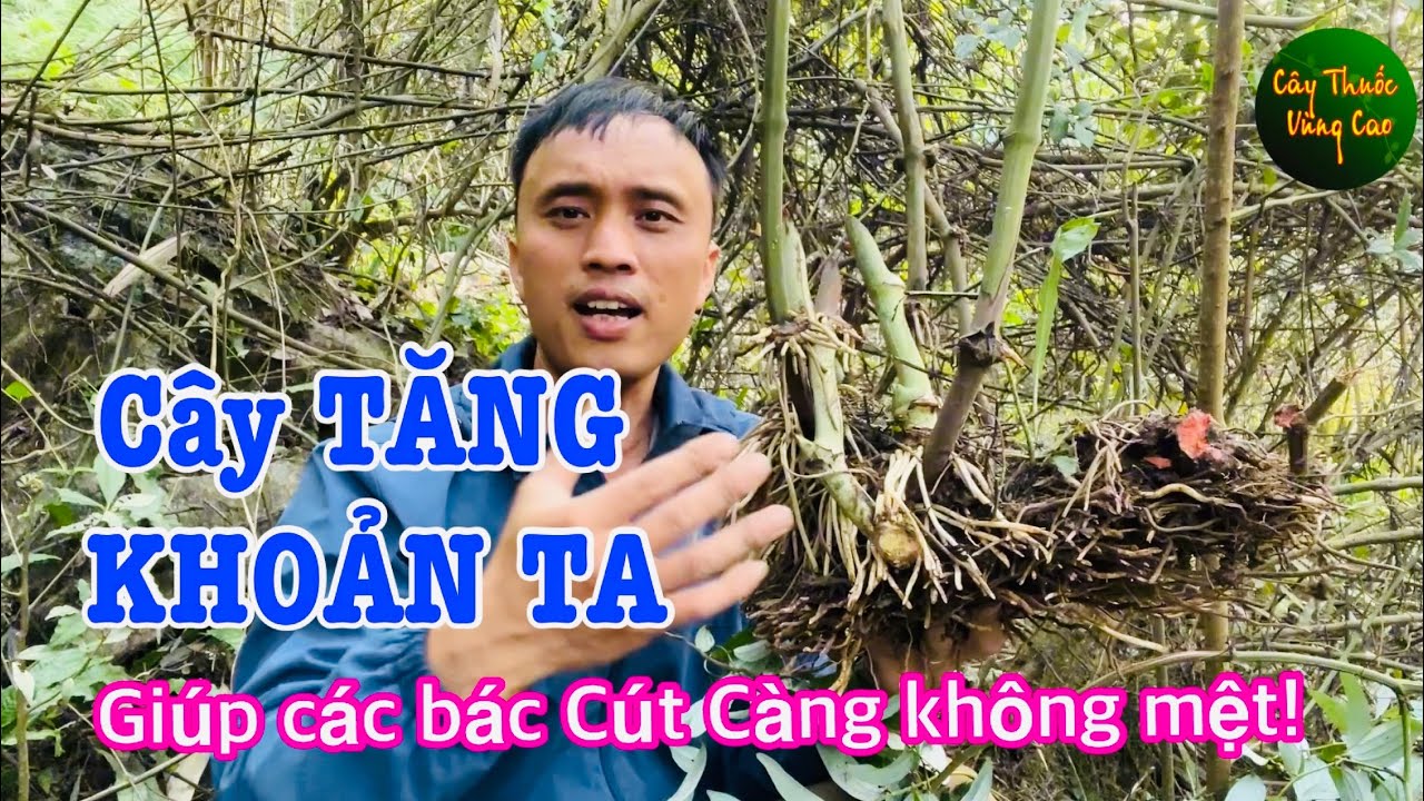 Dùng Cây Này Các Bác Chỉ Muốn CÚT CÀNG Cả Tối | CTVC - YouTube