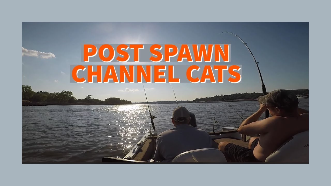 Catfishing- Post Spawn Channel Catfish on a TOUGH Bite - YouTube