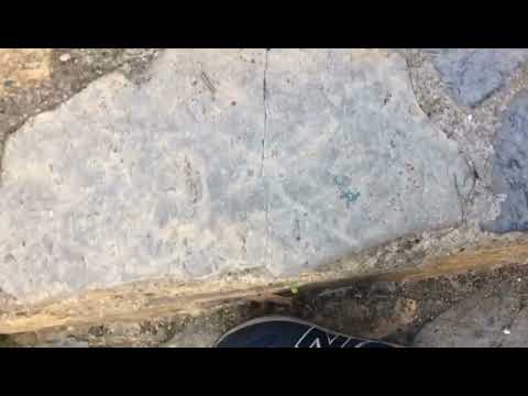 Turkish girl snail crush