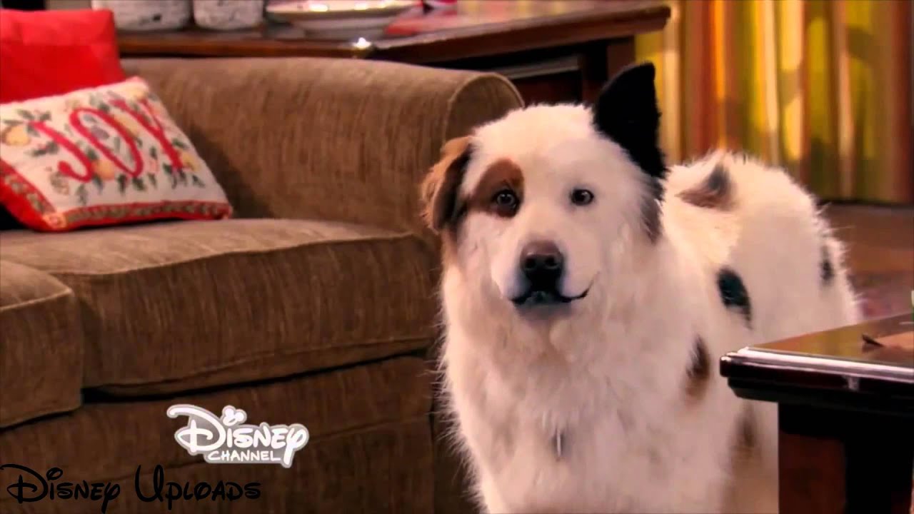 Dog With A Blog | "Stan Steals Christmas" Exclusive Clip - YouTube
