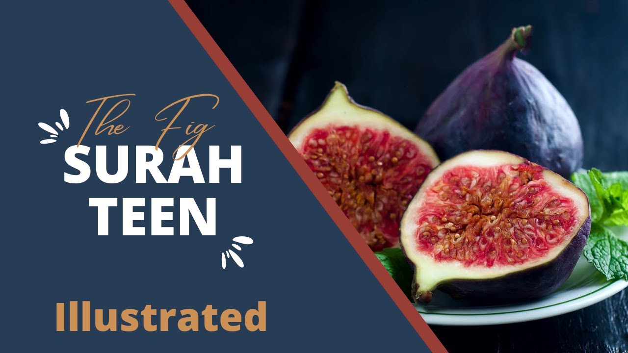 Surah Teen (Illustrated) | Beautiful Quran Recitation by Ridjaal Ahmed ...