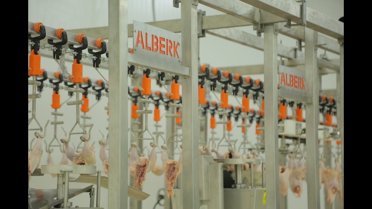 Poultry Processing Automatic Cut-Up Line - Alberk - YouTube