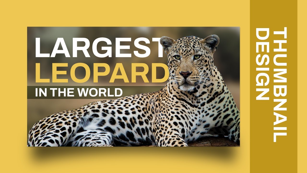 Thumbnail Design for Youtube Video | Simple and Professional Wild Life ...