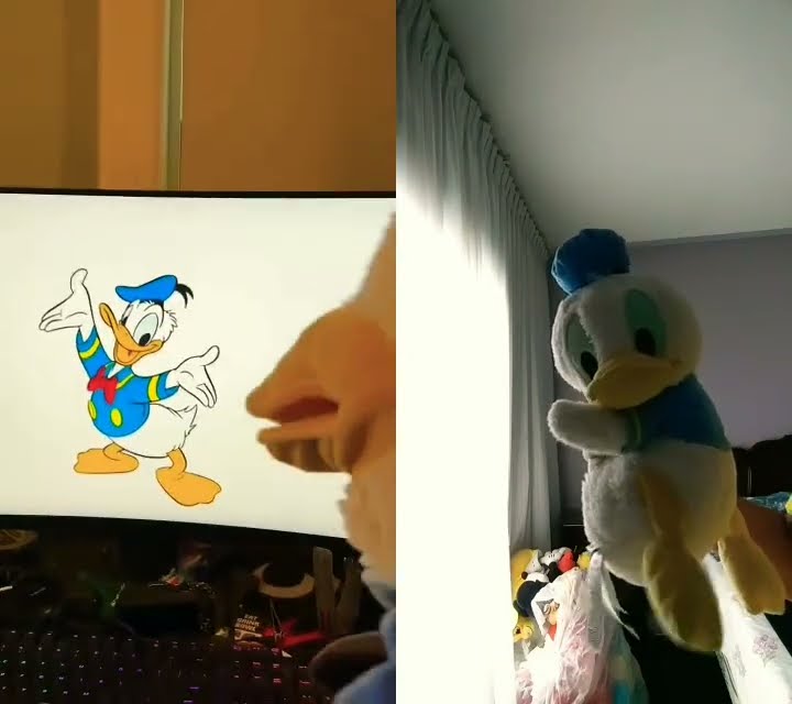 Donald Duck Junior replaces his dad name Donald duck @DonaldDucc - YouTube