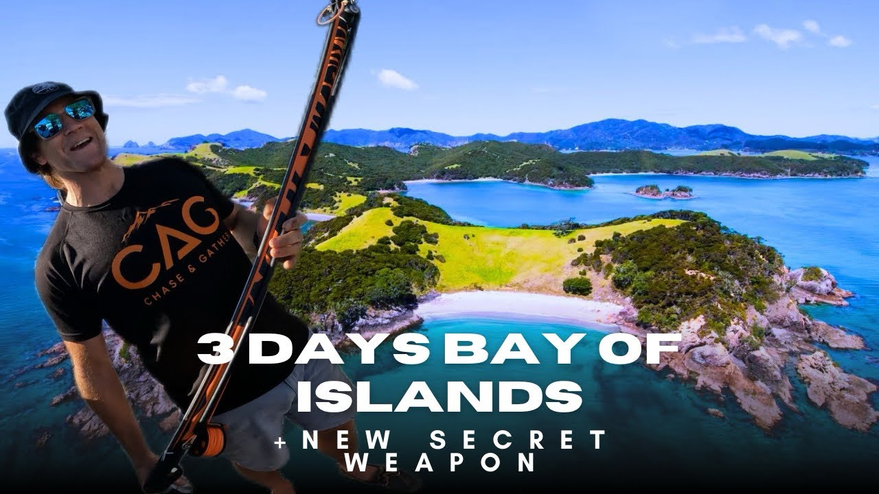 Bay of Islands Epic Spearfishing, Fishing + NEW rig - YouTube