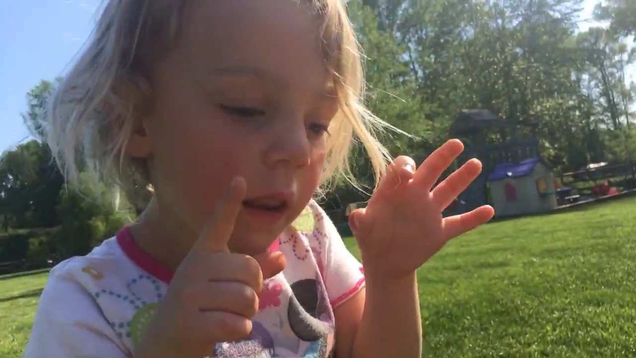 Toy Channel: Sisters are Raising Ryan Gosling the Baby Canadian Goose ...