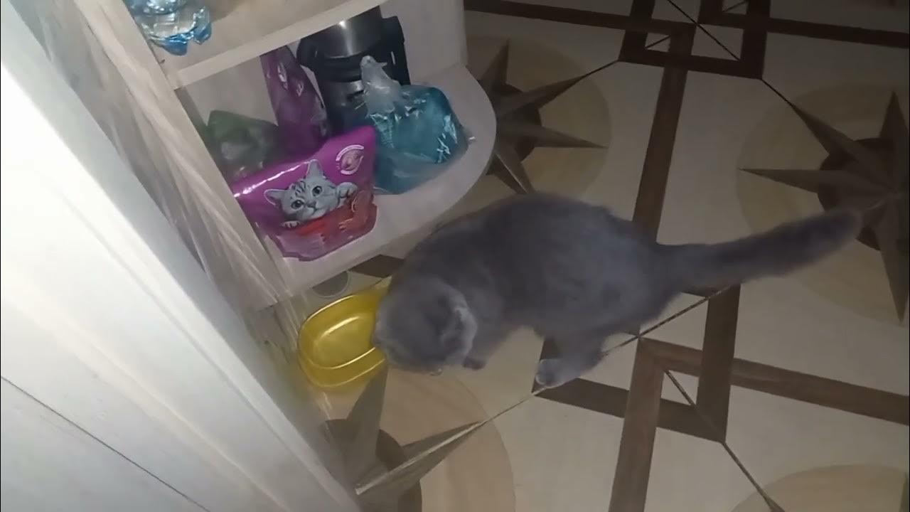 Понос? - YouTube