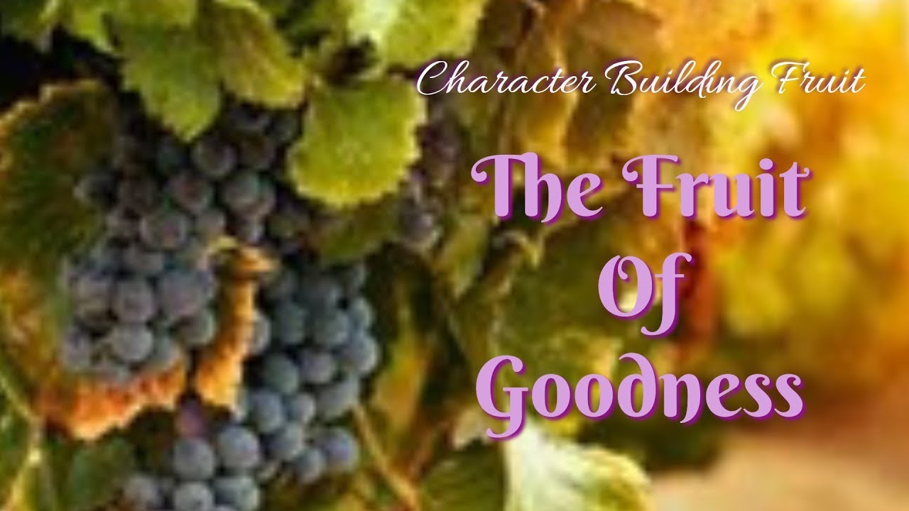The Fruit Of Goodness Character Building Fruit Fruit Of Goodness YouTube the-fruit-of-goodness-character-building-fruit-fruit-of-goodness-youtube