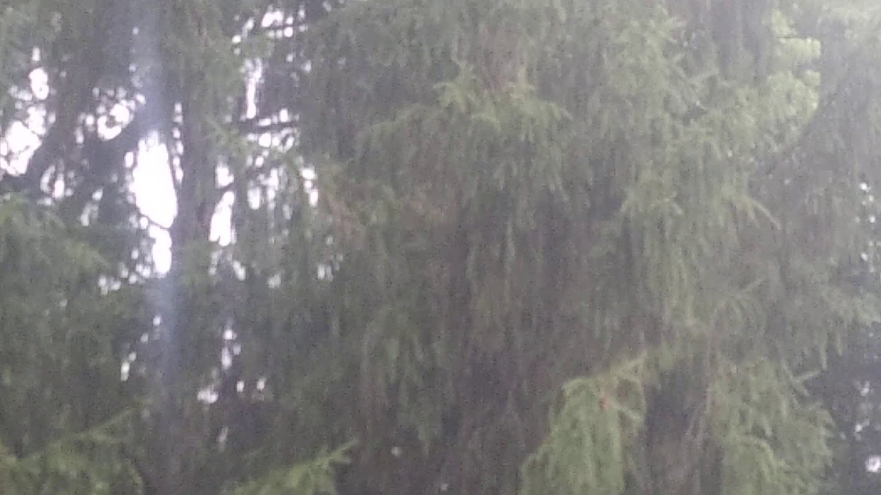 Rainstorms/ What movie does this remind you of? - YouTube
