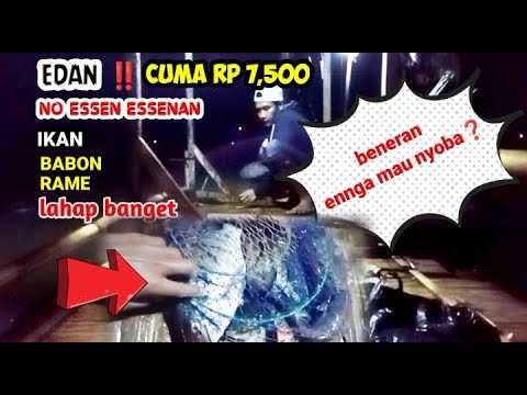Edan Cuma Umpan Semurah Ini Bukan Cuma Ikan Rame Monster Juga Ikut Makan Mancing Saguling ...
