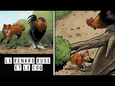 Le Renard Rusé et le Coq Astucieux - Fables d'Esope - Histoire et ...