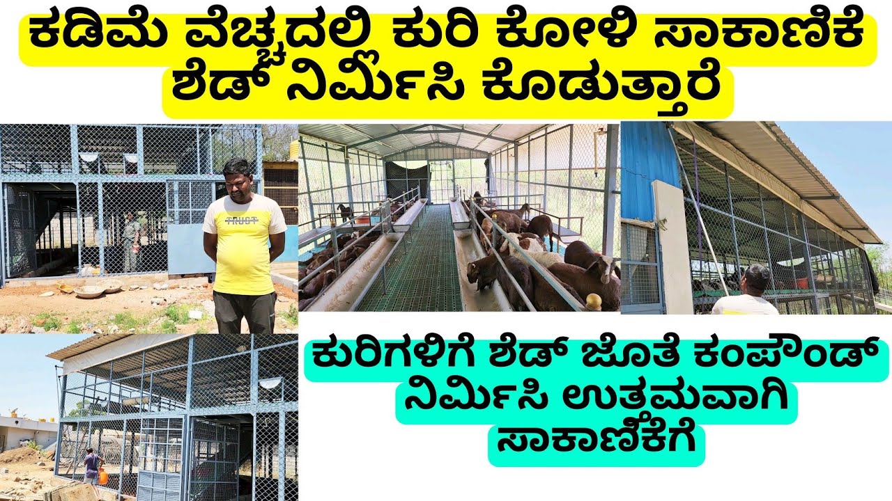 ಕೇವಲ 40 ಕುರಿ ಸಾಕಾಣಿಕೆಗೂ ಶೆಡ್ ಮತ್ತು ಕಾಂಪೌಂಡ್ ನಿರ್ಮಿಸಿ ಕೊಡುತ್ತಾರೆ low ...